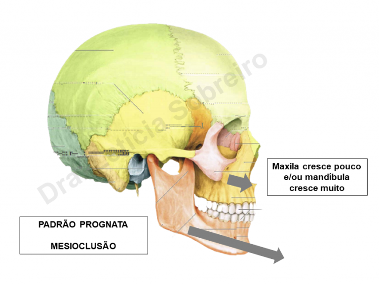 Ortodontia – Dra. Letícia Sobreiro